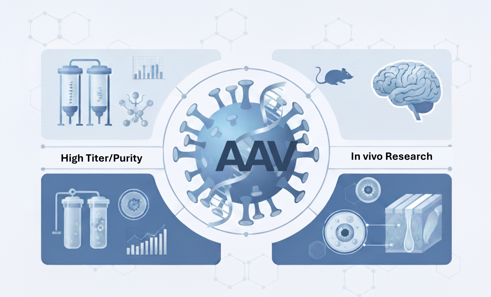 High-Performance AAVs for Reliable Gene Delivery – life science tools ...